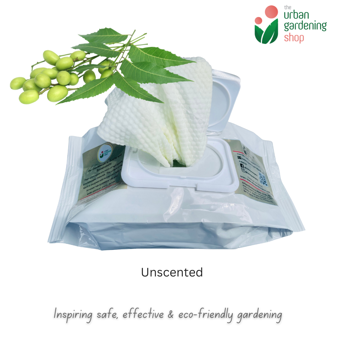 [New] BIODEGRADABLE PLANT WIPES - For Plant Cleaning and Leaf Shine (40 ...