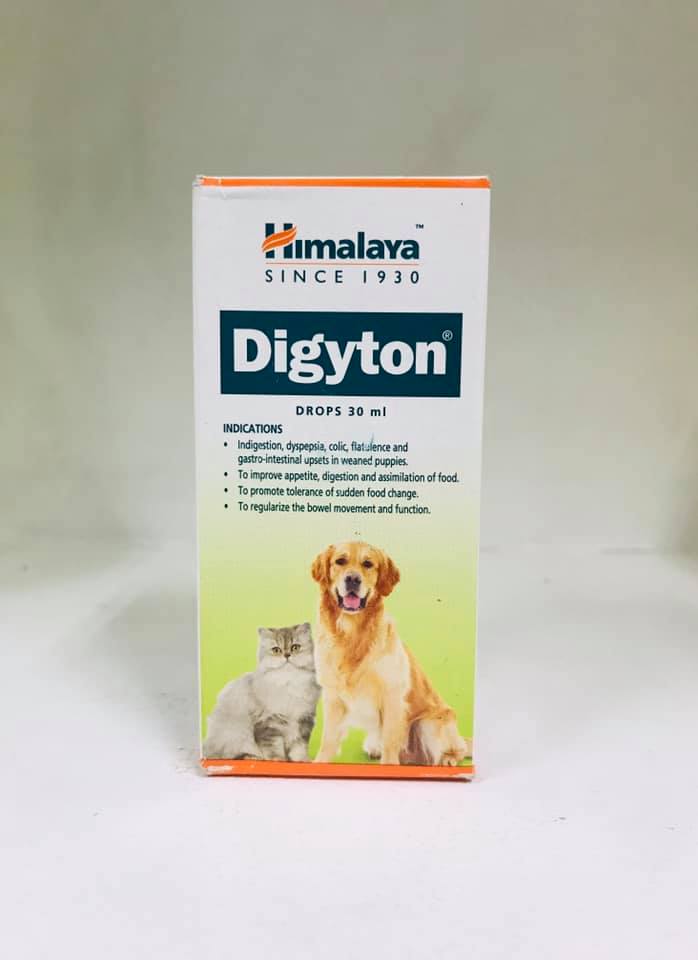 Himalaya Digyton | Lazada PH