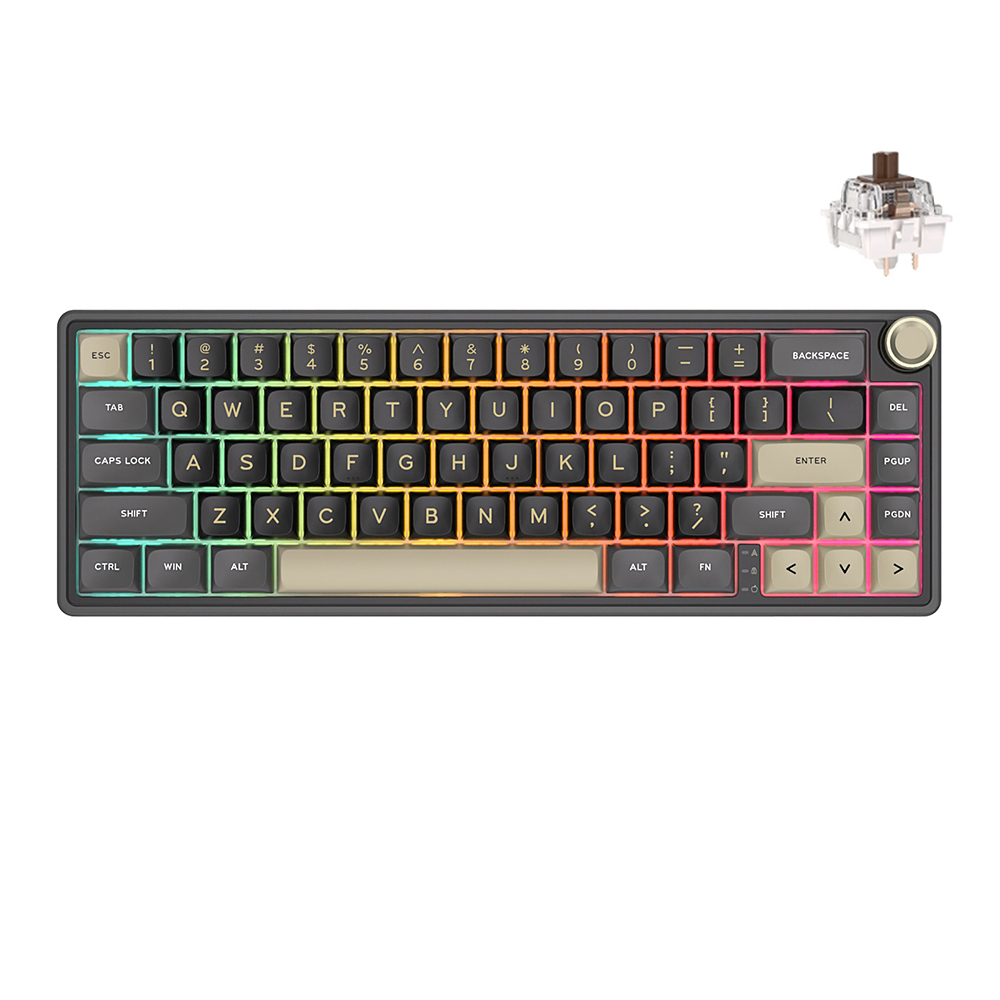 RK Royal Kludge R65 Single-Mode 65% Layout Hot Swappable RGB Mechanical ...