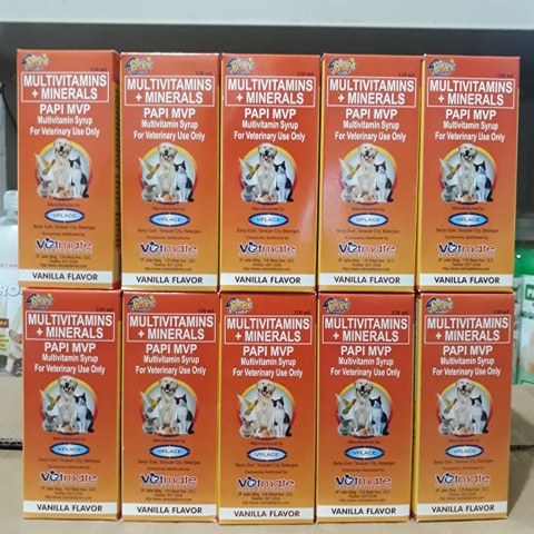 ZH. PAPI MVP MULTIVITAMINS SYRUP 120ml (BUNDLE OF 10pcs) | Lazada PH