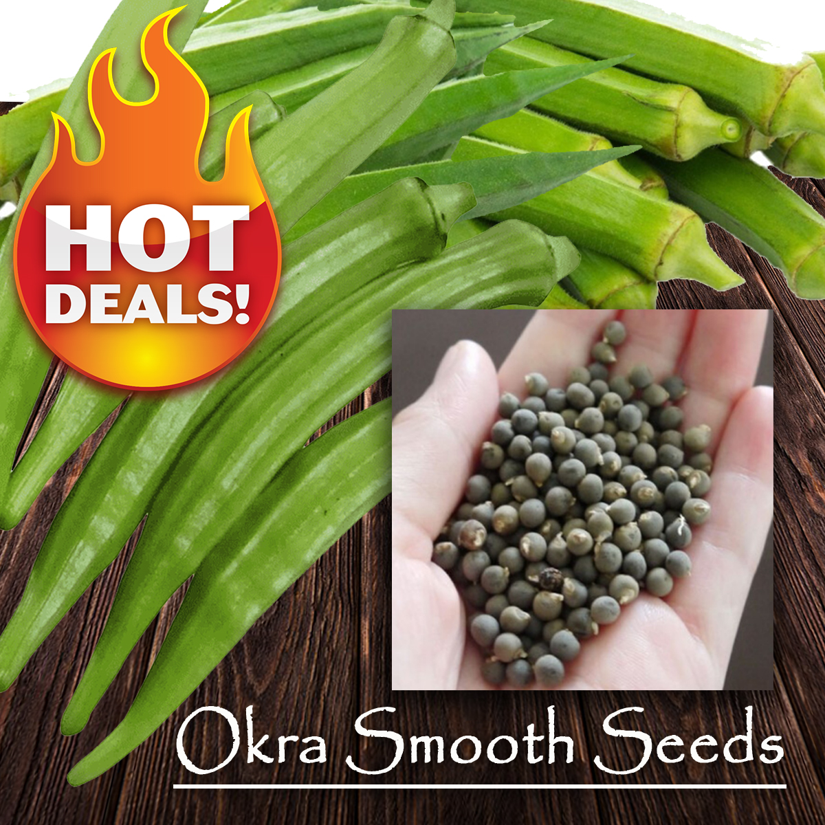 Okra Seeds (Smooth) Camiling 3 grams approx 50 seeds or more | Lazada PH