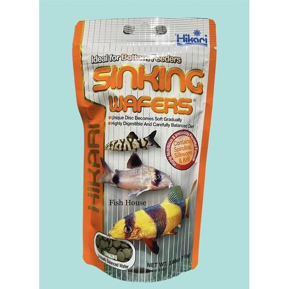 Hikari Sinking Wafer 110g For Catfish Loach Crayfish and other bottom ...