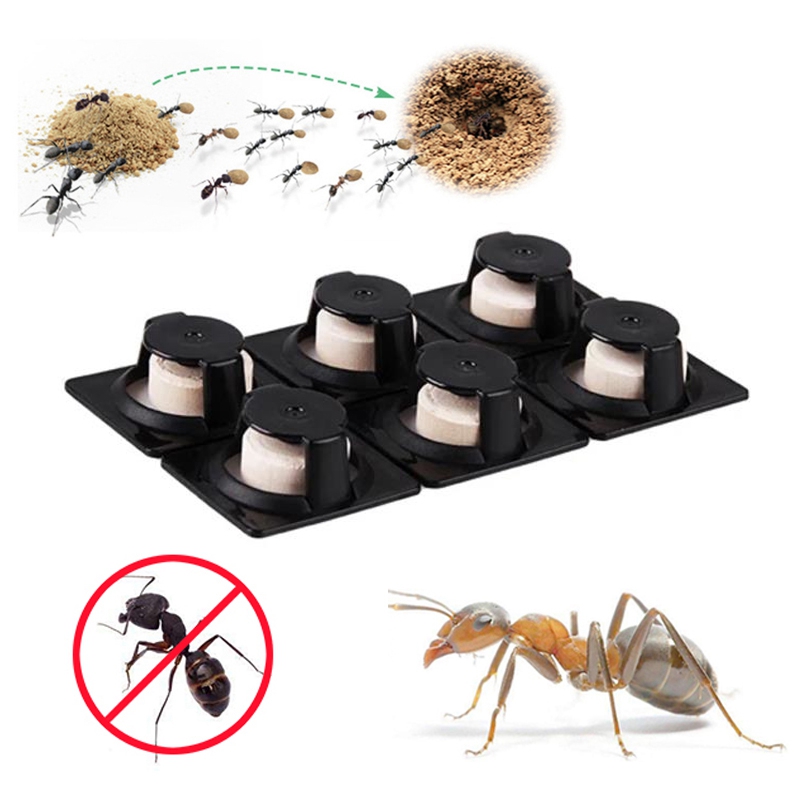 6Pcs/Lot Ant Agent Ant Killing Powder Bait Ants Repellent Repeller Trap ...