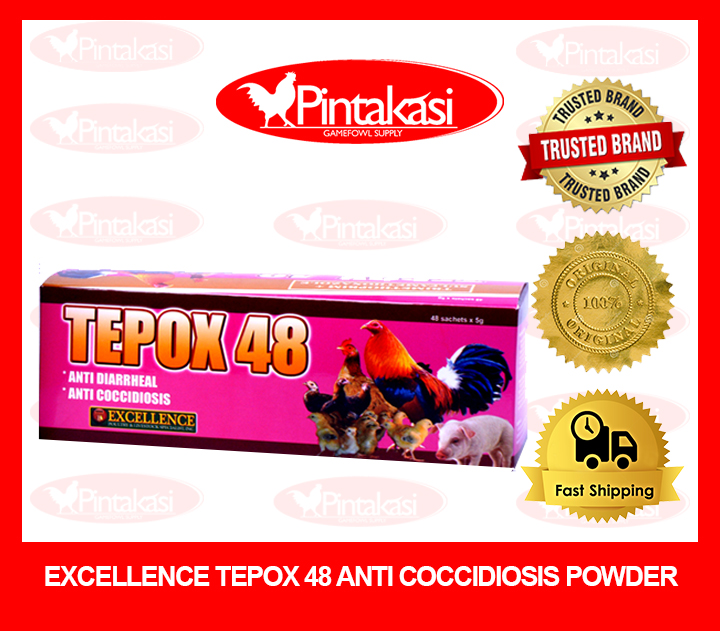 PINTAKASI 1 box of 5 grams Excellence Tepox 48 Powder Anti Diarrheal ...