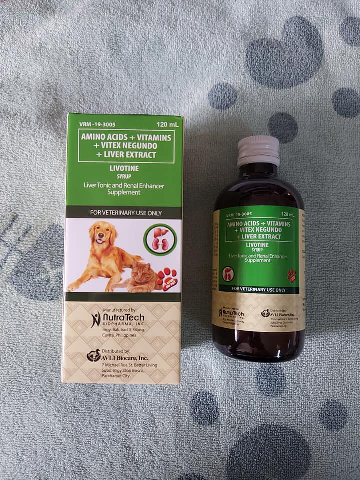 Livotine Syrup 120mL (Liver Tonic and Renal Enhancer Supplement ...