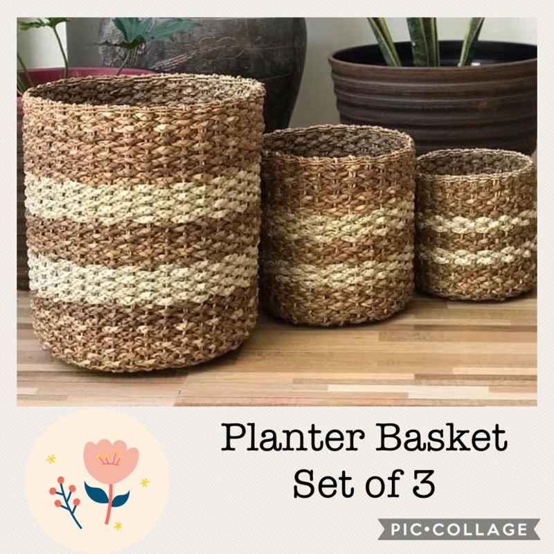 Homebass Native Pandan Planter Basket Set of 3 | Lazada PH