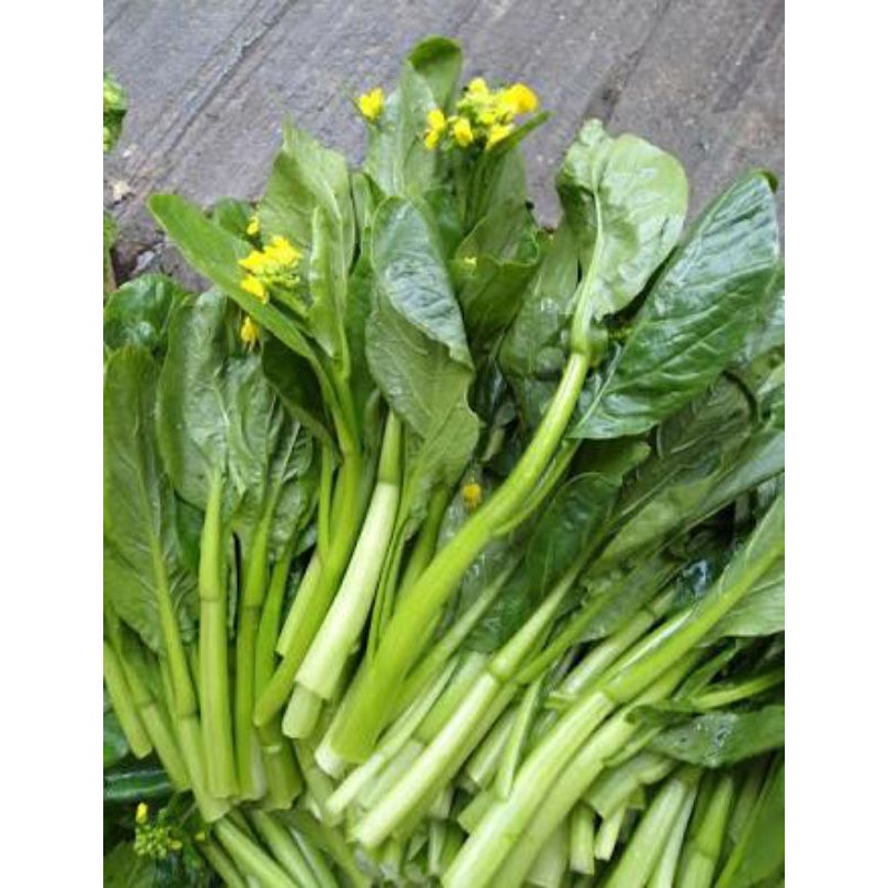 50 Seeds (buy 2 get 1 free) Choi Sam Flowering Pechay for Sale Easy To ...