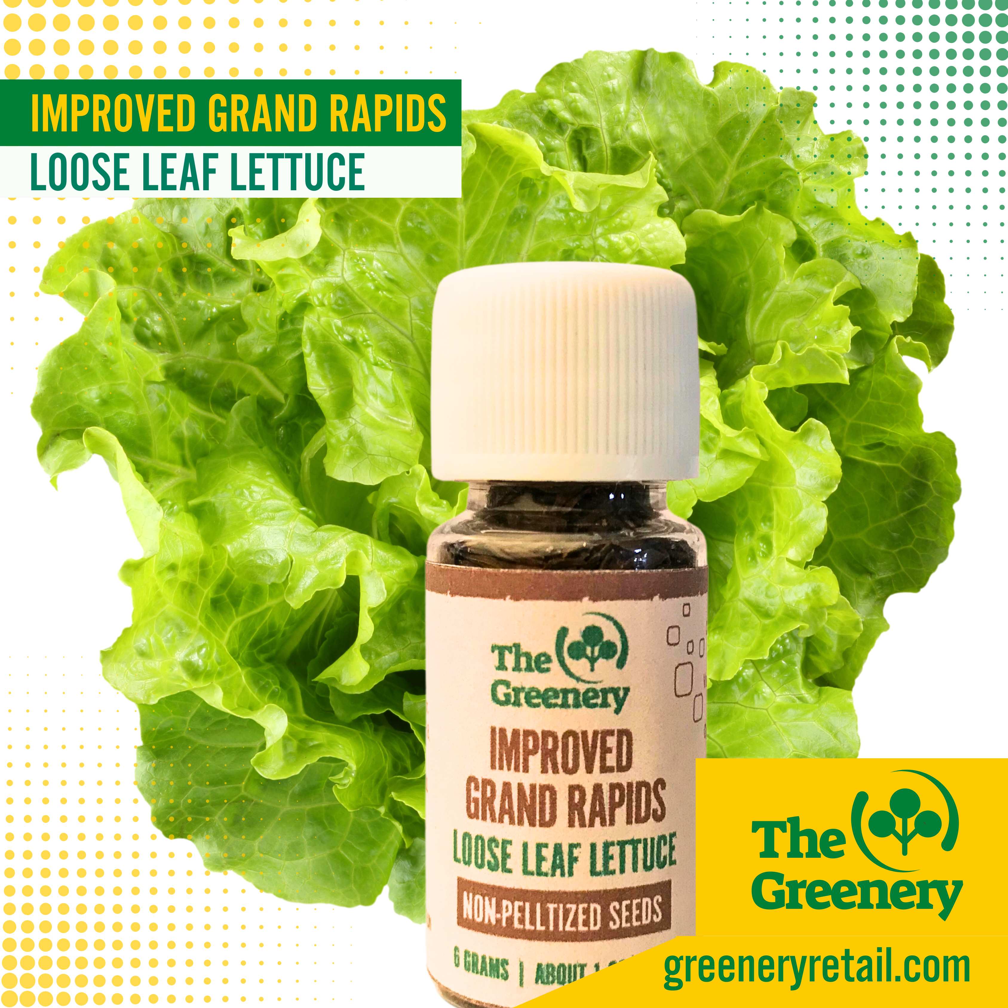 Improved Grand Rapids | 5,000 seeds | Green Loose Leaf Lettuce Seeds | Lazada PH