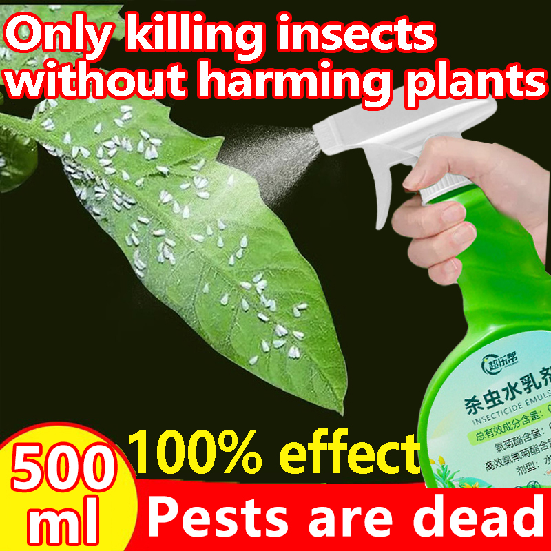 🌻All the pests are dead🐛Plant insecticide spray 500ml No harm to plants ...