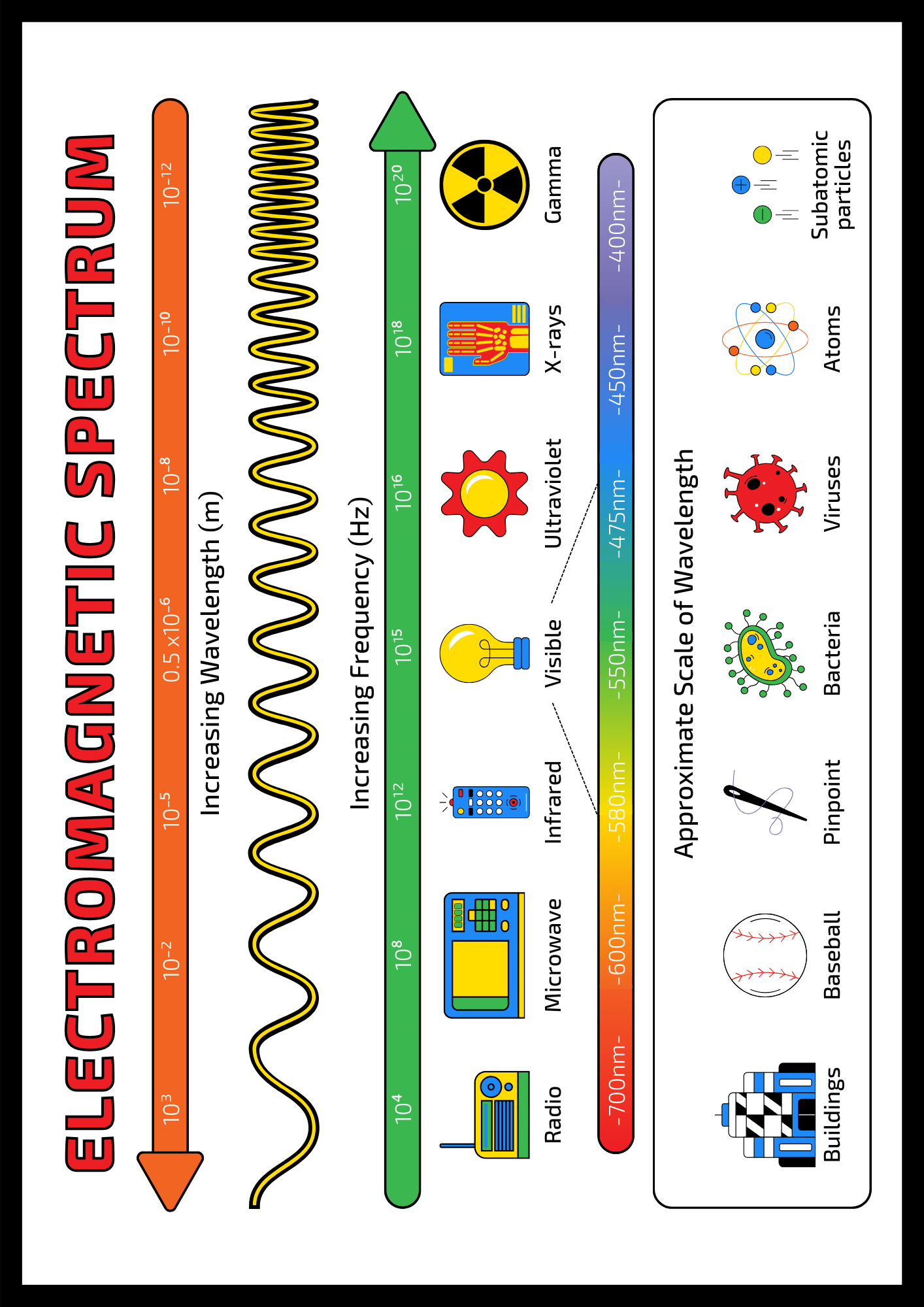 Science Laminated Educational Learning Charts (A4 size/photo paper ...
