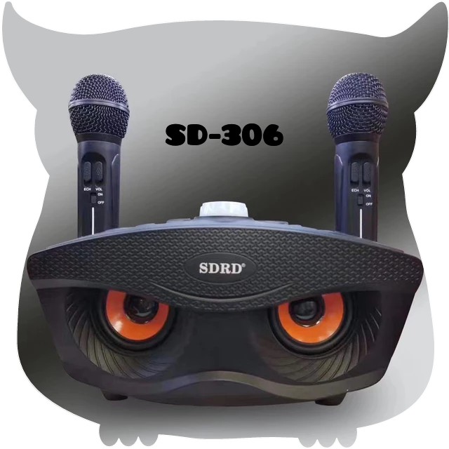 SDRD SD-306 Plus Wireless Bluetooth Dual Microphone Karaoke Portable 3D ...
