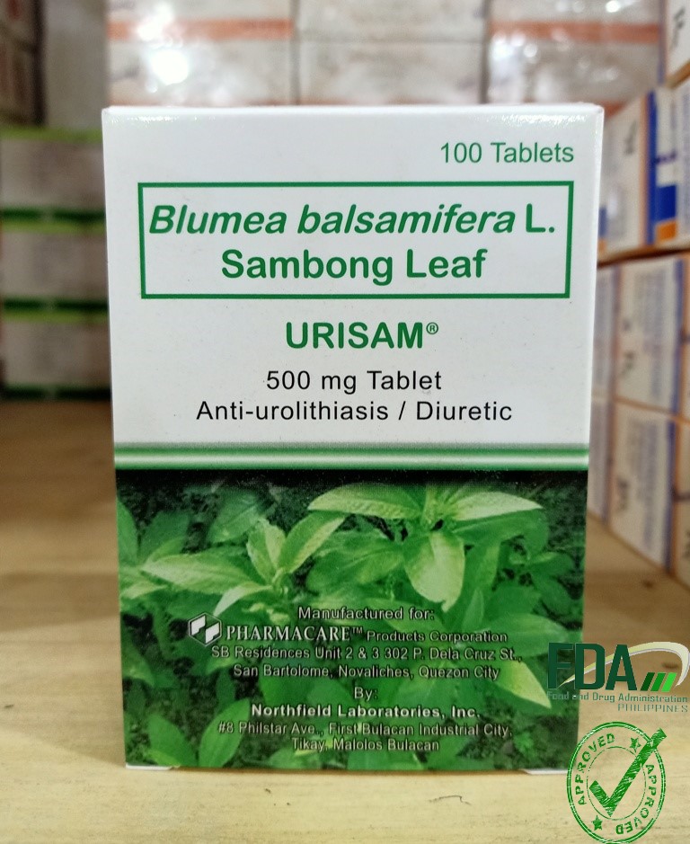 Sambong Leaf 500mg Tablet - Urisam 100's | Lazada PH