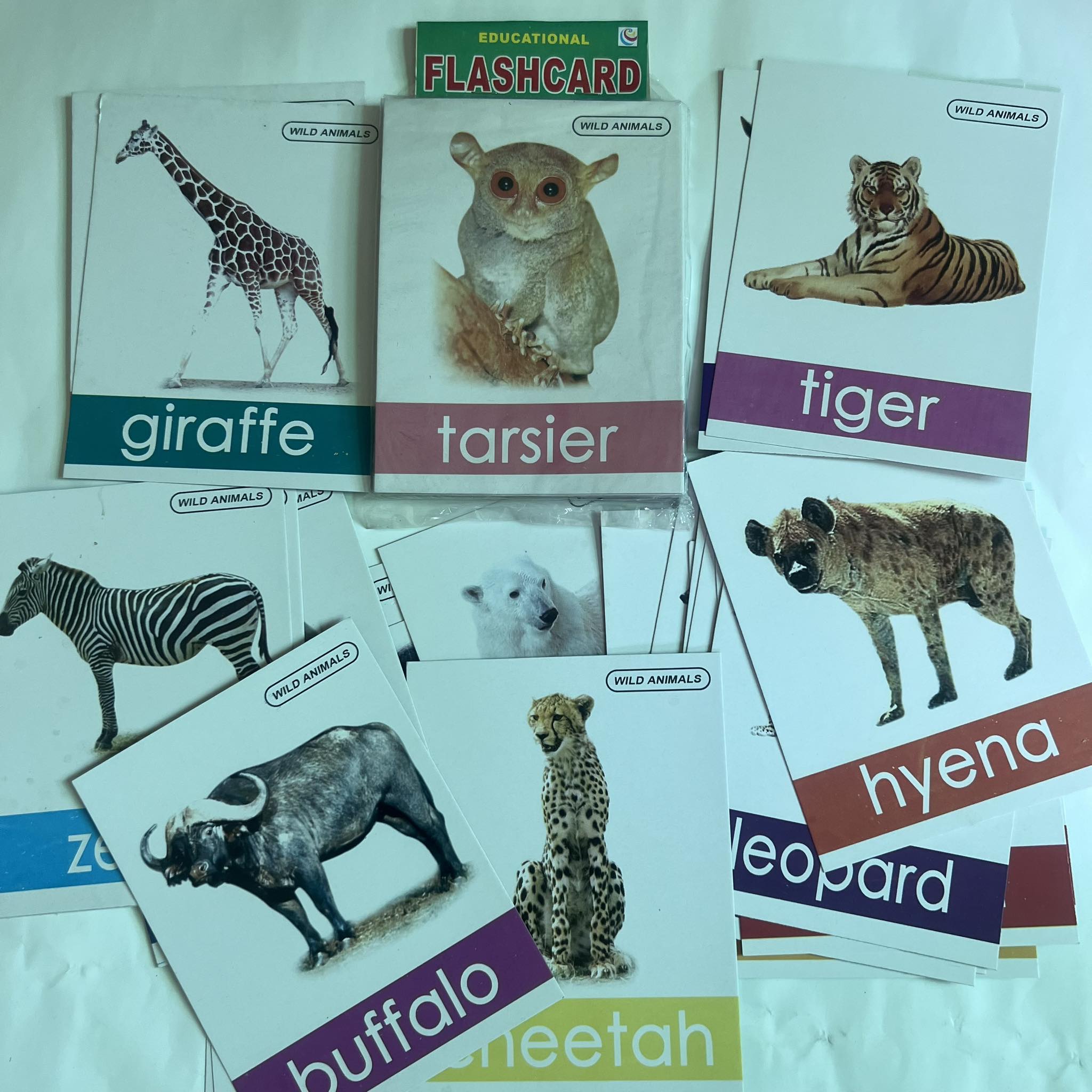 FLASH CARD SET FIRST WORLD/DOMESTIC ANIMALS/WILD ANIMALS 24pcs/set 5.5 ...