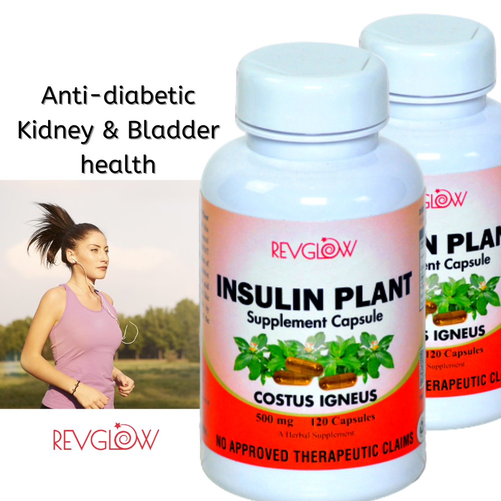 Revglow 2-Bottle Insulin Plant capsule 500mg 120caps. for Diabetic ...