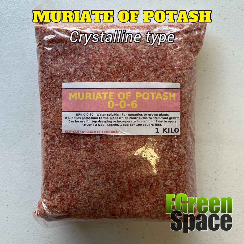 [Hot sales] MURIATE POTASH (1KILO) POTASSIUM FERTILIZER | Lazada PH