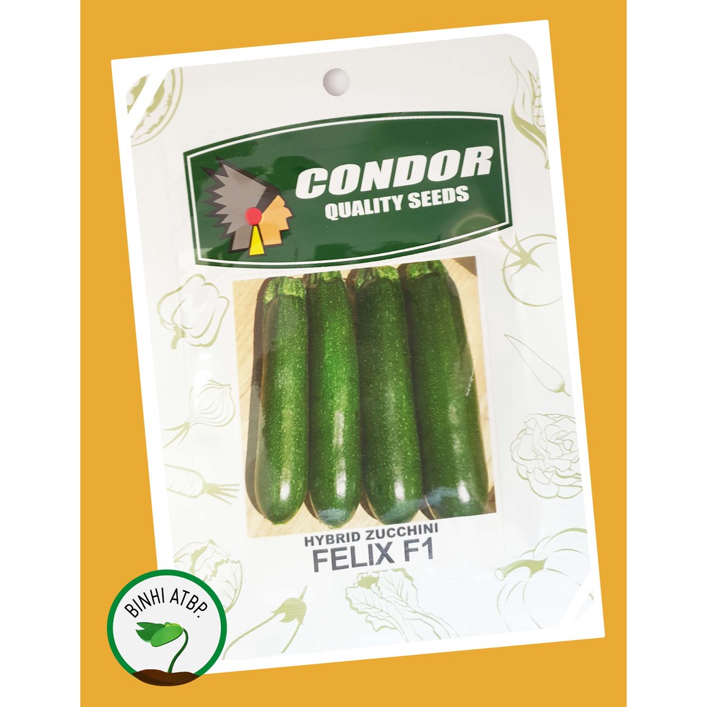 Condor Zucchini Felix F1 Seeds (20 Seeds Pack)(It's a seed, not a plant ...