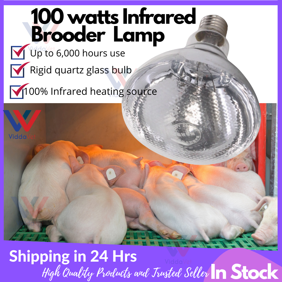 100 watts brooder bulb Infrared Heat Lamp for Livestock pigs poultry ...