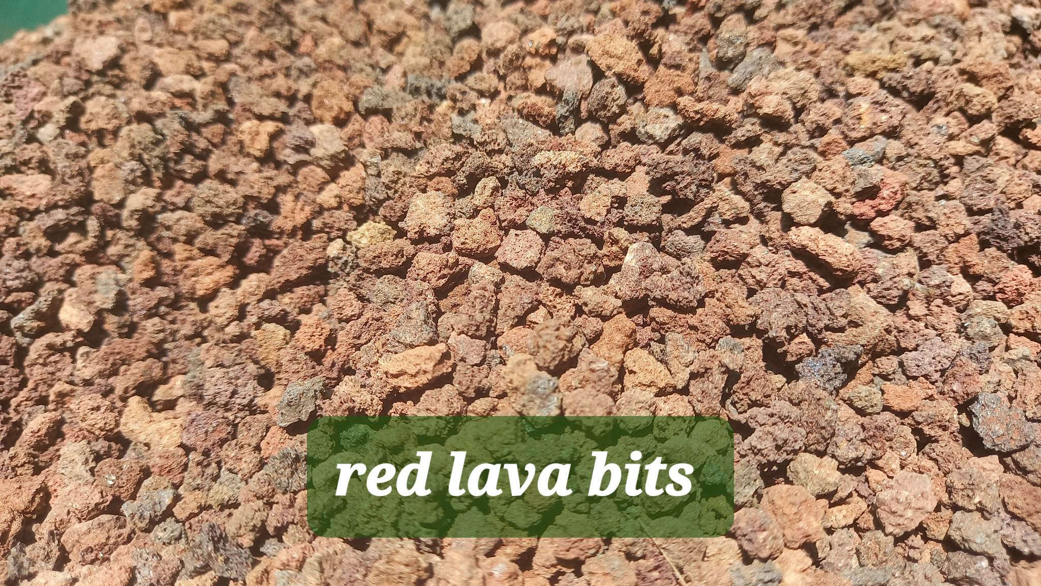 red/black lava bits decor to your aquascape/landscaped | Lazada PH