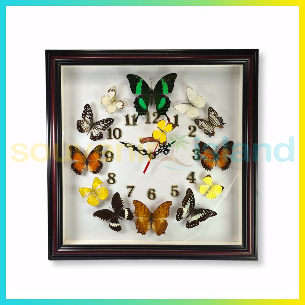 ♢REAL Butterfly Wall Clock (Square Rectangle Design) Philippine ...