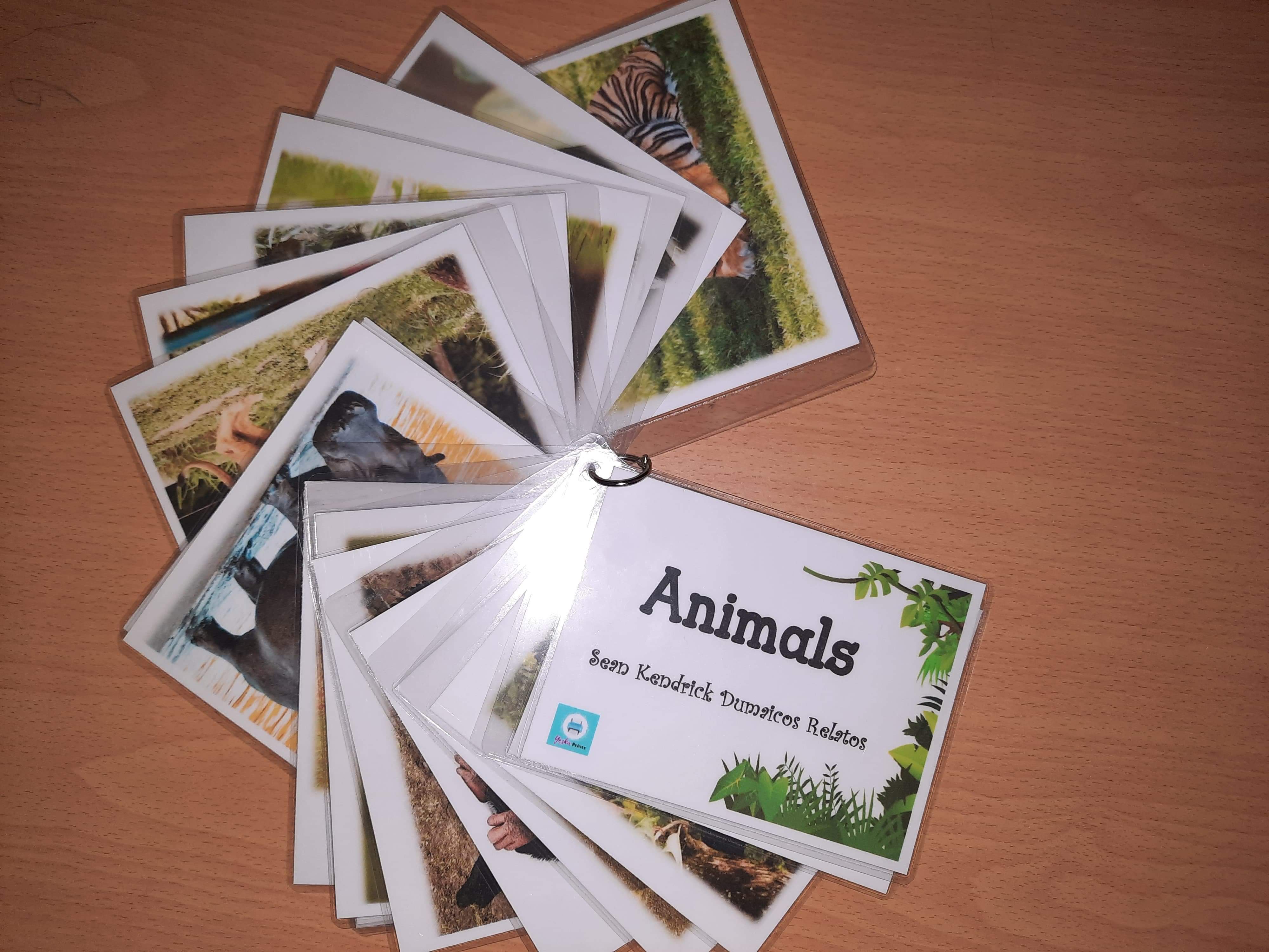ANIMALS Laminated Flash Cards | Lazada PH