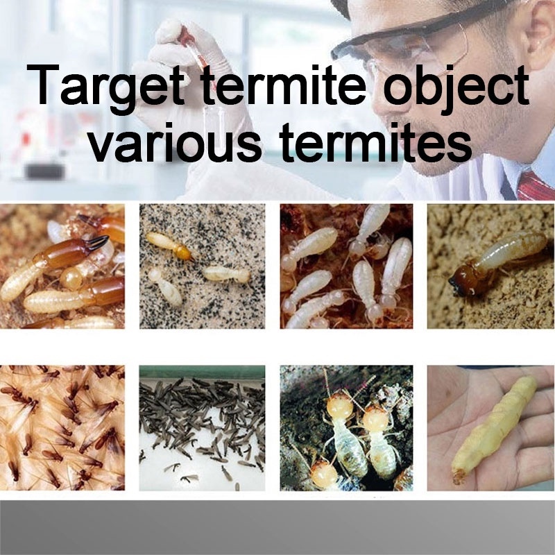 Queen ants dieinfect each otherdie quickly.Termite Killer termite x ...