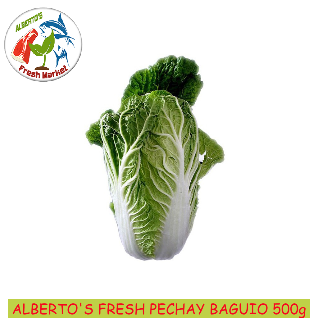 CHINESE CABBAGE ( PECHAY BAGUIO) 500g | Lazada PH