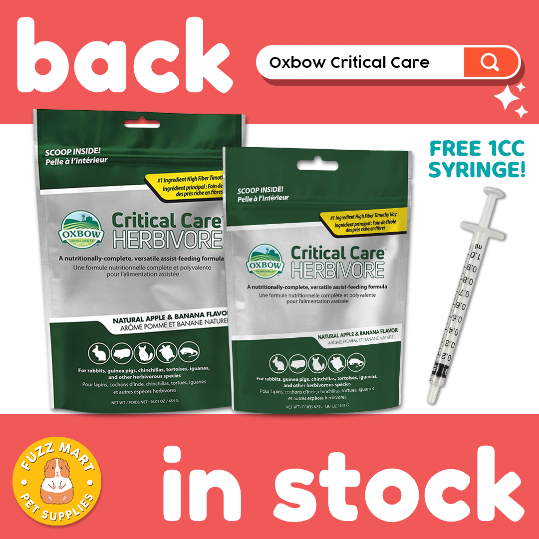 Oxbow Critical Care Apple & Banana for Herbivores (141g/454g) Recovery ...