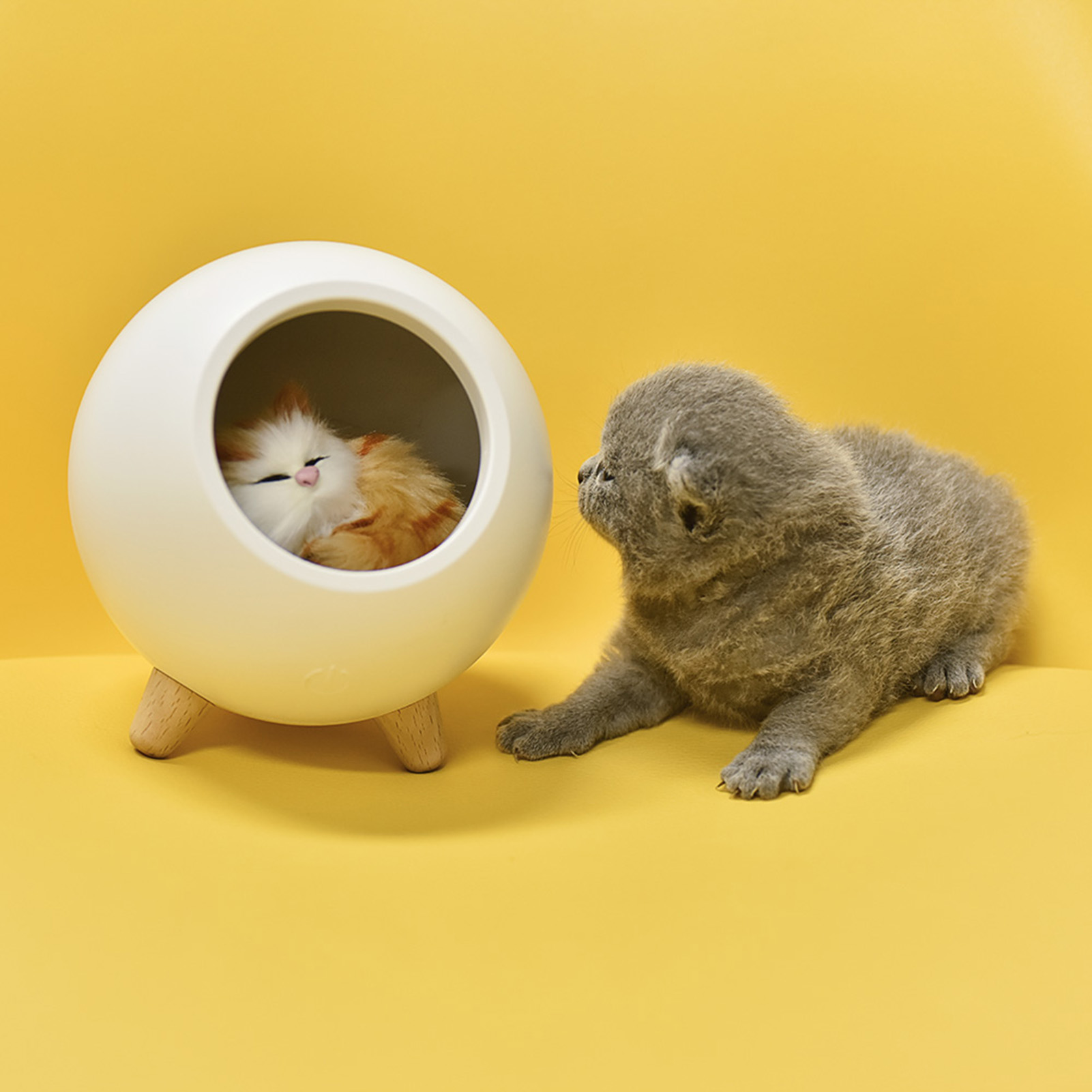 【Best rated&Good quality】Cat Pet House Ambience Lamp LED Night Light ...