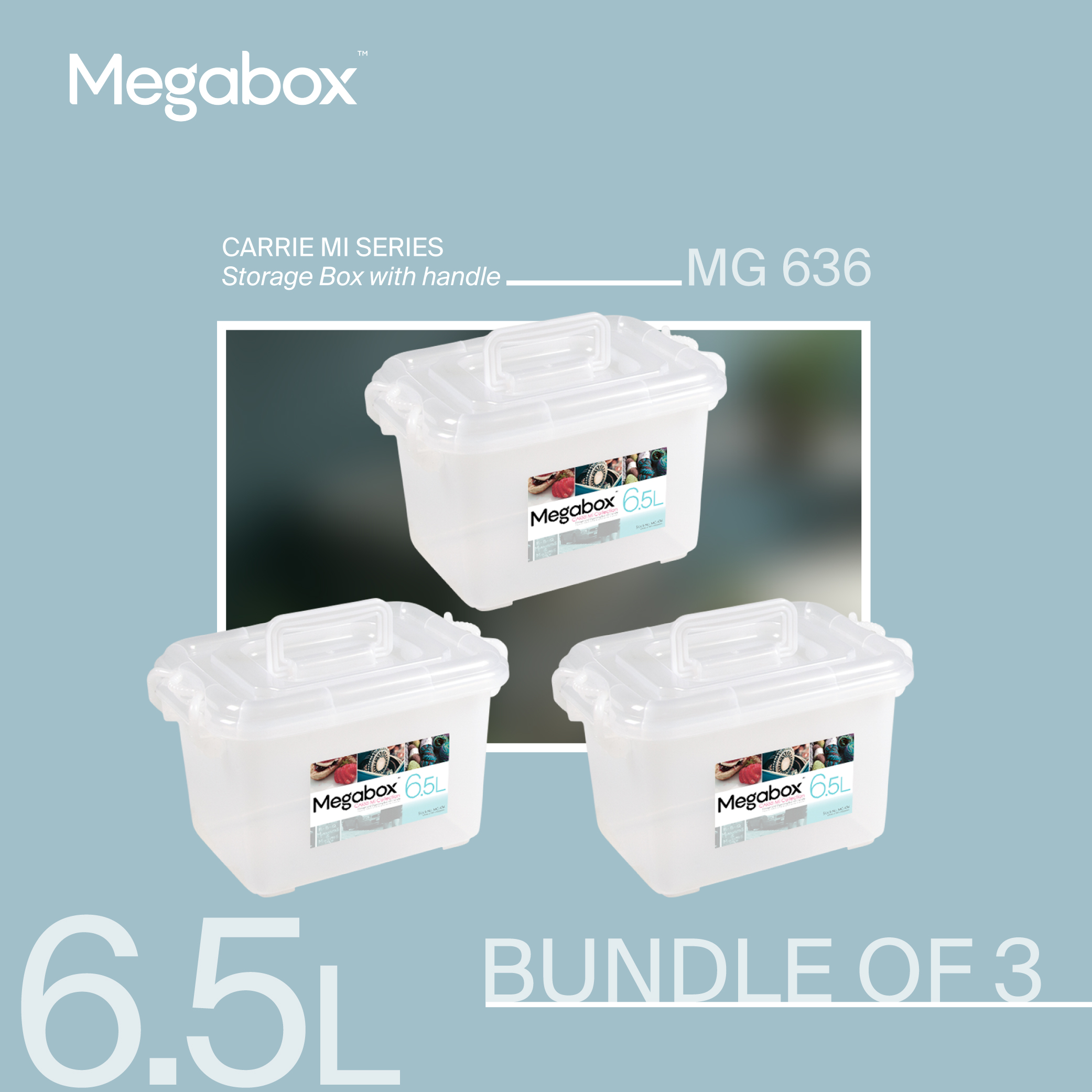 Megabox MG-636 Carrie Mi Series 6.5L Storage Box with Handle (Bundle of 3) | Lazada PH
