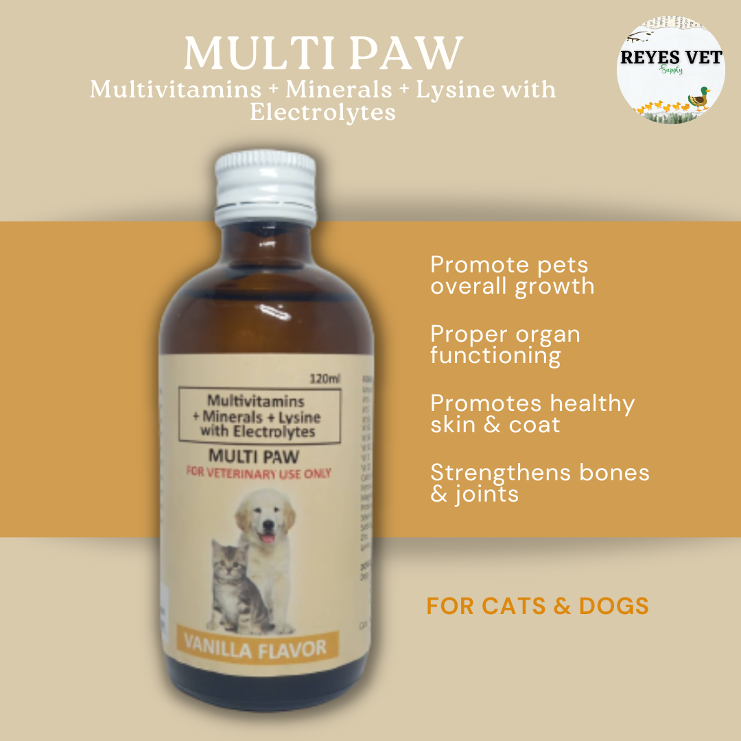 [VET SUPPORT] 1Bottle Pawell MULTI PAW 120mL Multivitamins (Vanilla ...