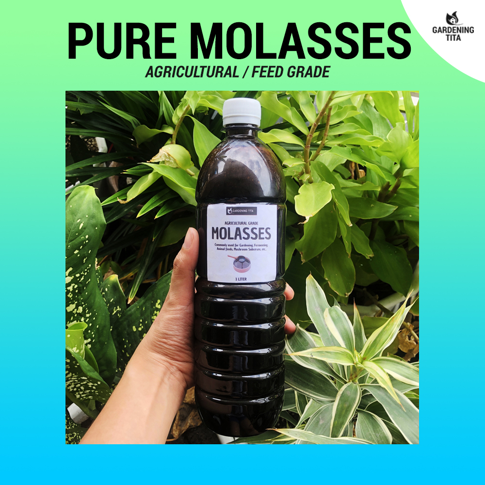 (1L) Pure Molasses - Pulot / Blackstrap Molasses / Black treacle - Feed ...
