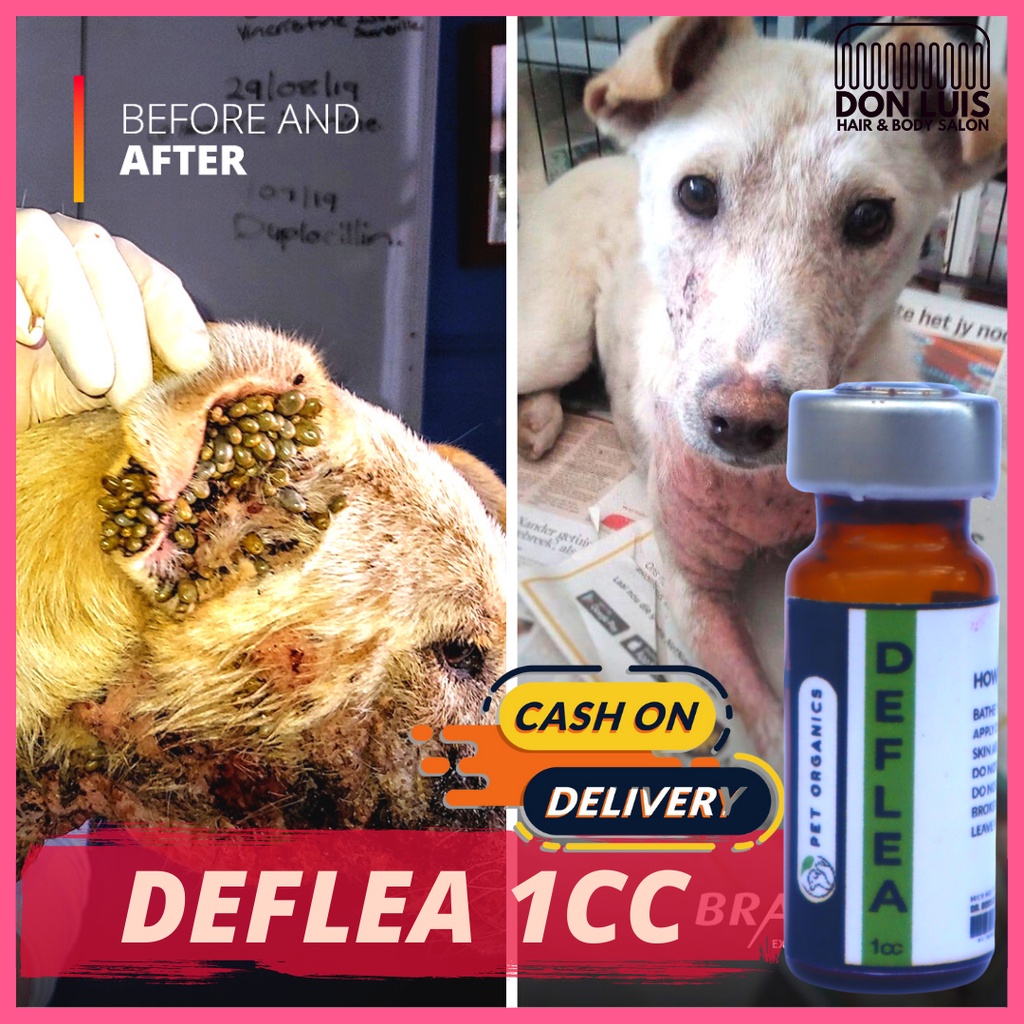 [DONLUISSALON] DEFLEA 1CC Anti-Tick and Flea Spot On Mites for Pet Dogs ...