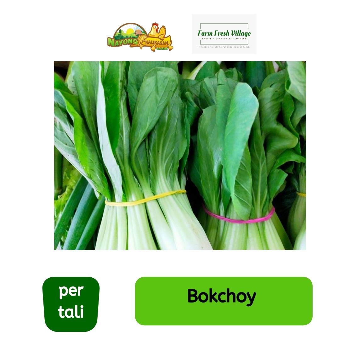 FARM FRESH VILLAGE Bokchoy or Pechay Taiwan | Lazada PH