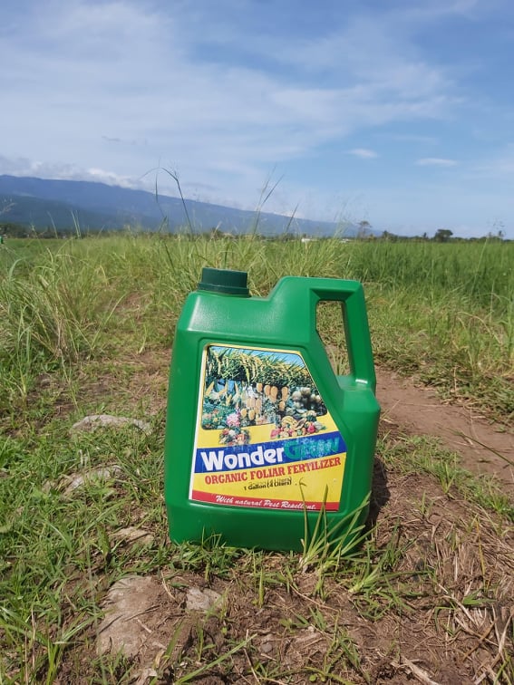 Wonder Grow Foliar Plant Supplement | Lazada PH