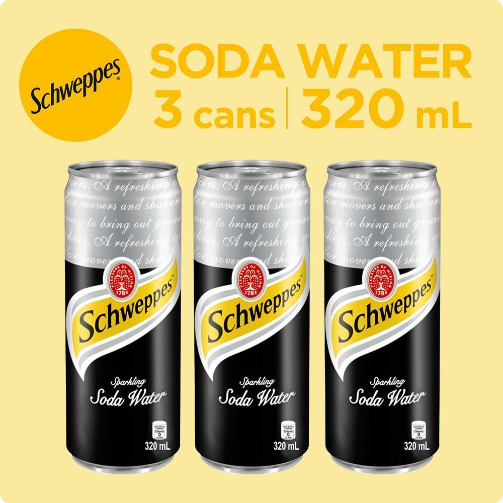 Schweppes Soda Water 320mL - Pack of 3 | Lazada PH