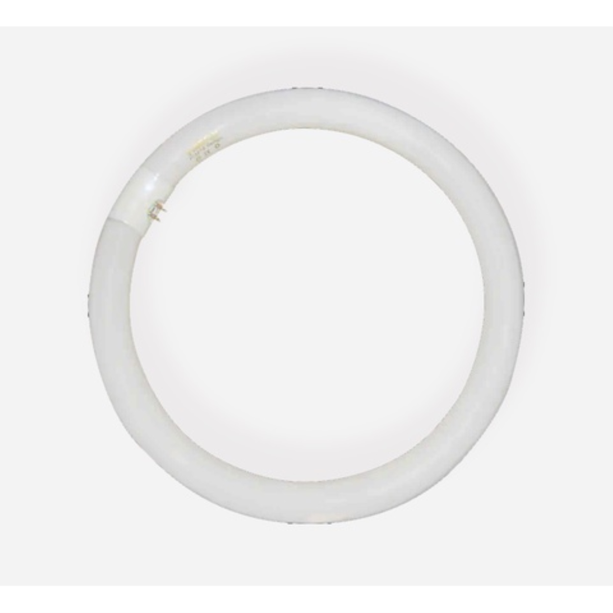 hot Firefly T9 Circular Tube Daylight 22watts/32watts | Lazada PH