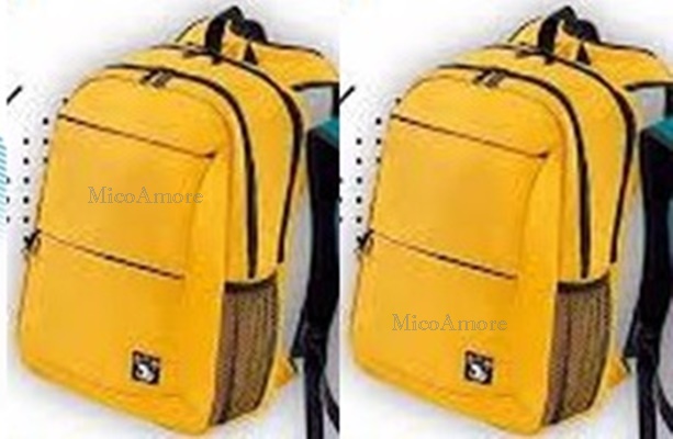 AVON ALEX Smartsac Backpack | Lazada PH