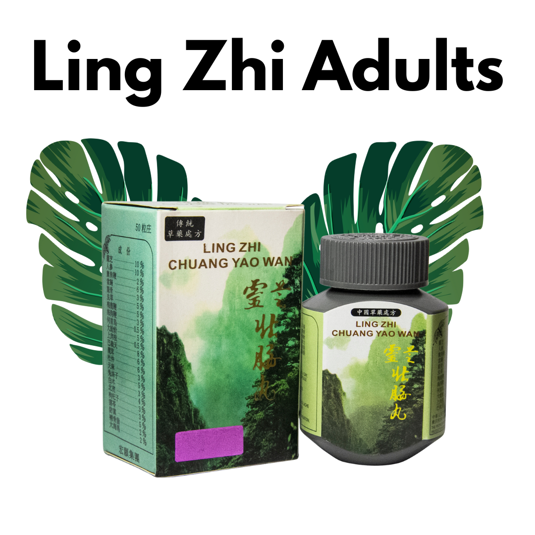 Lingzhi Pampataba Original Ginseng Vitamins For Adult & Kids Vitamins ...
