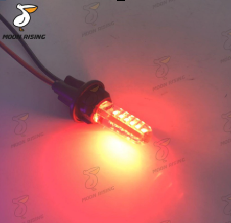 2 PCS T10 PARK LIGHT 24 LED PEANUT BULB 5W JELLY [MOON RISING] | Lazada PH