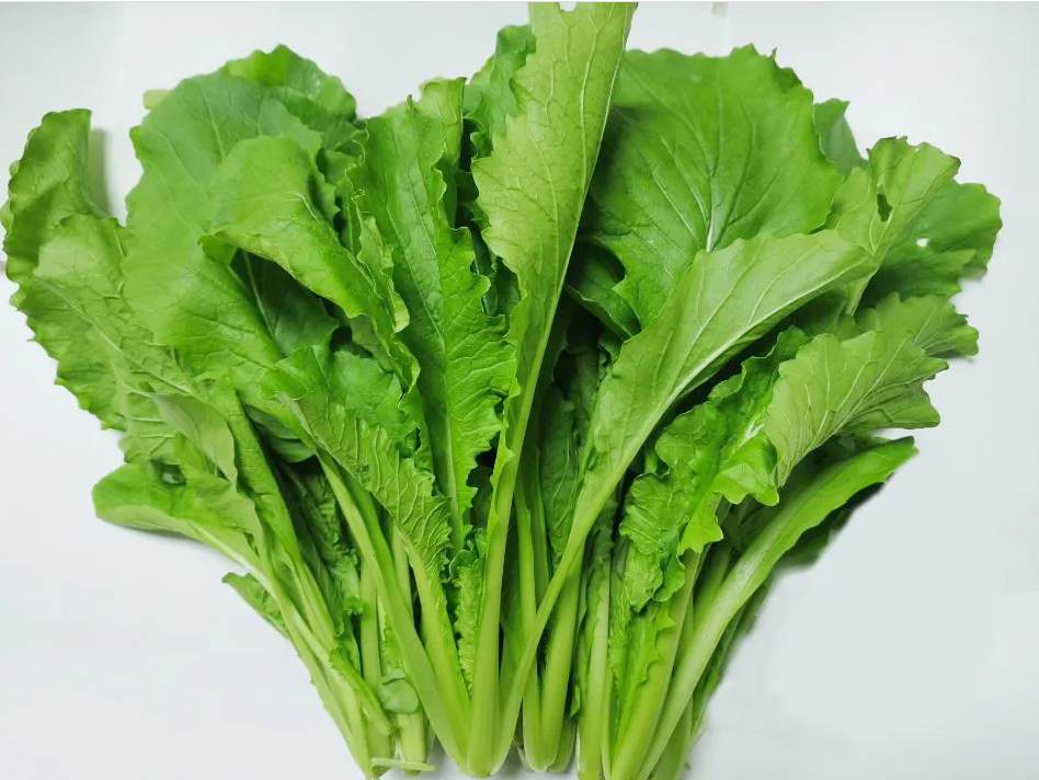 Mustasa Mastard Vegetable Seeds ( 1000 seeds ) - Basic Farm House ...