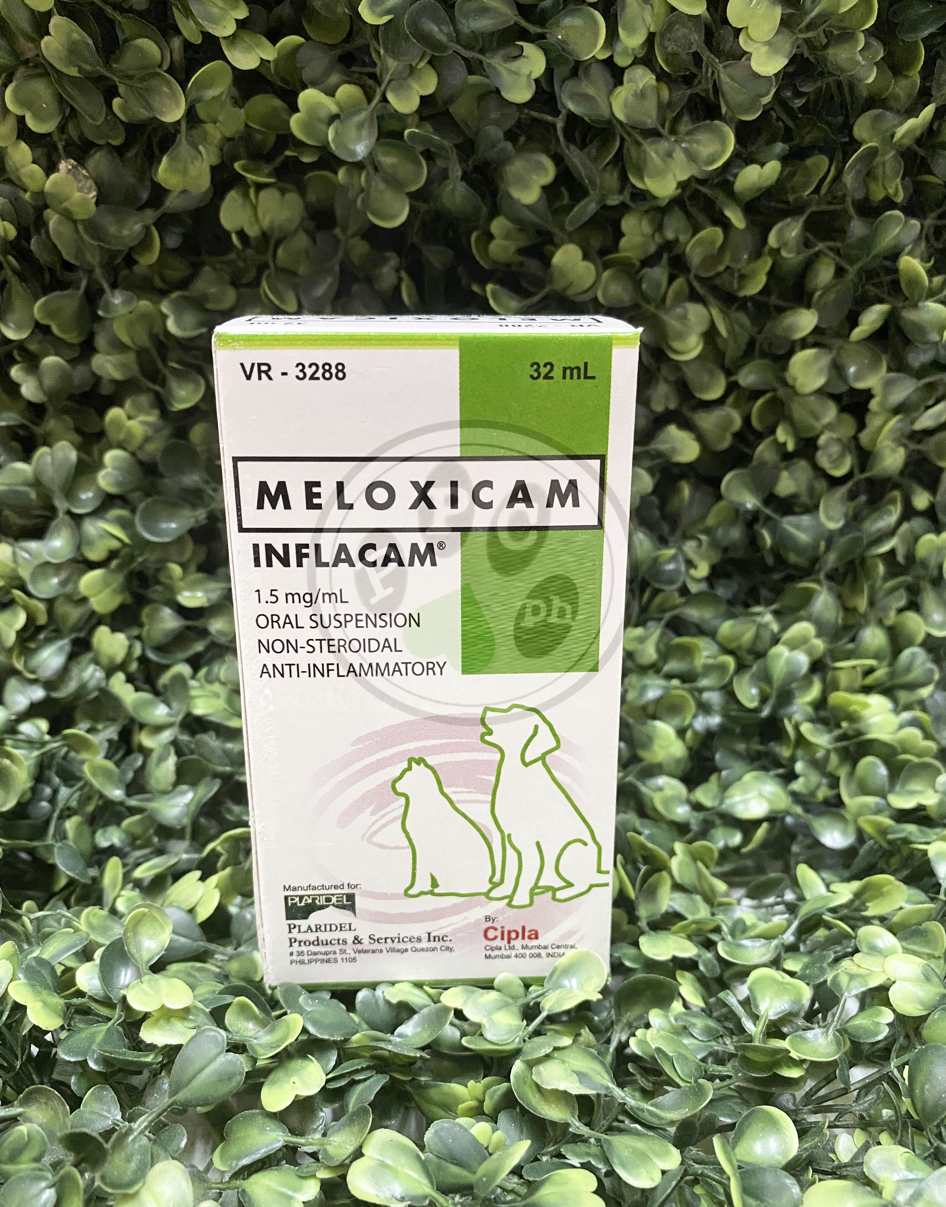 Inflacam for Dogs and Cats | Lazada PH
