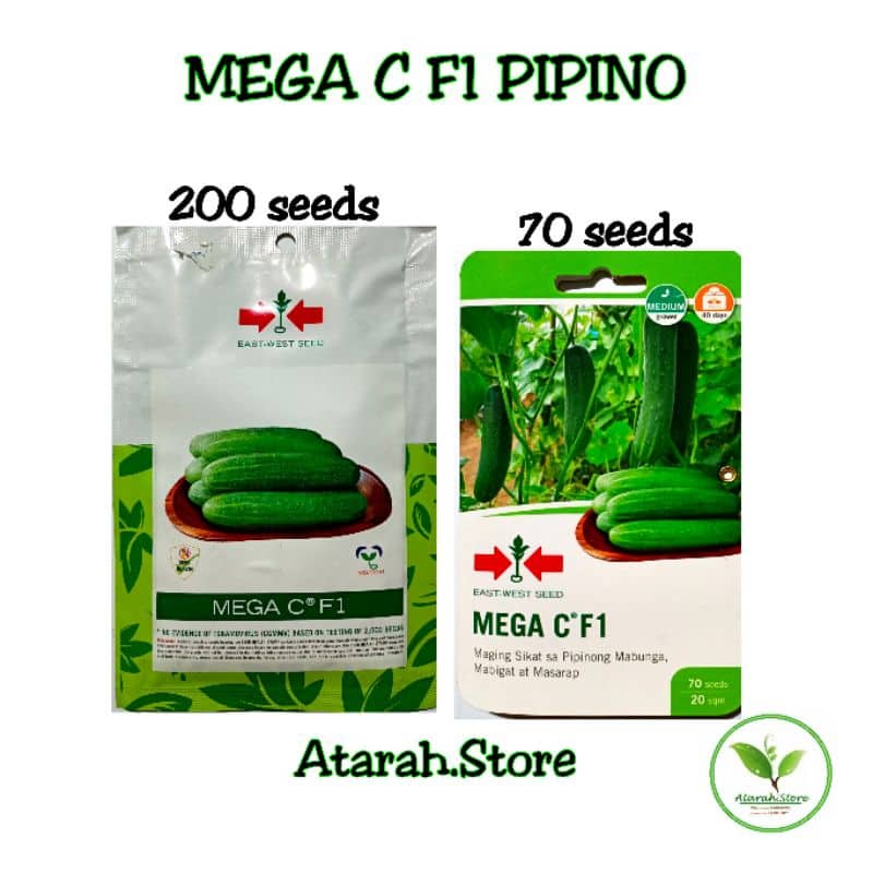Hybrid MEGA C F1 Pipino (Cucumber) East West Seeds | Lazada PH