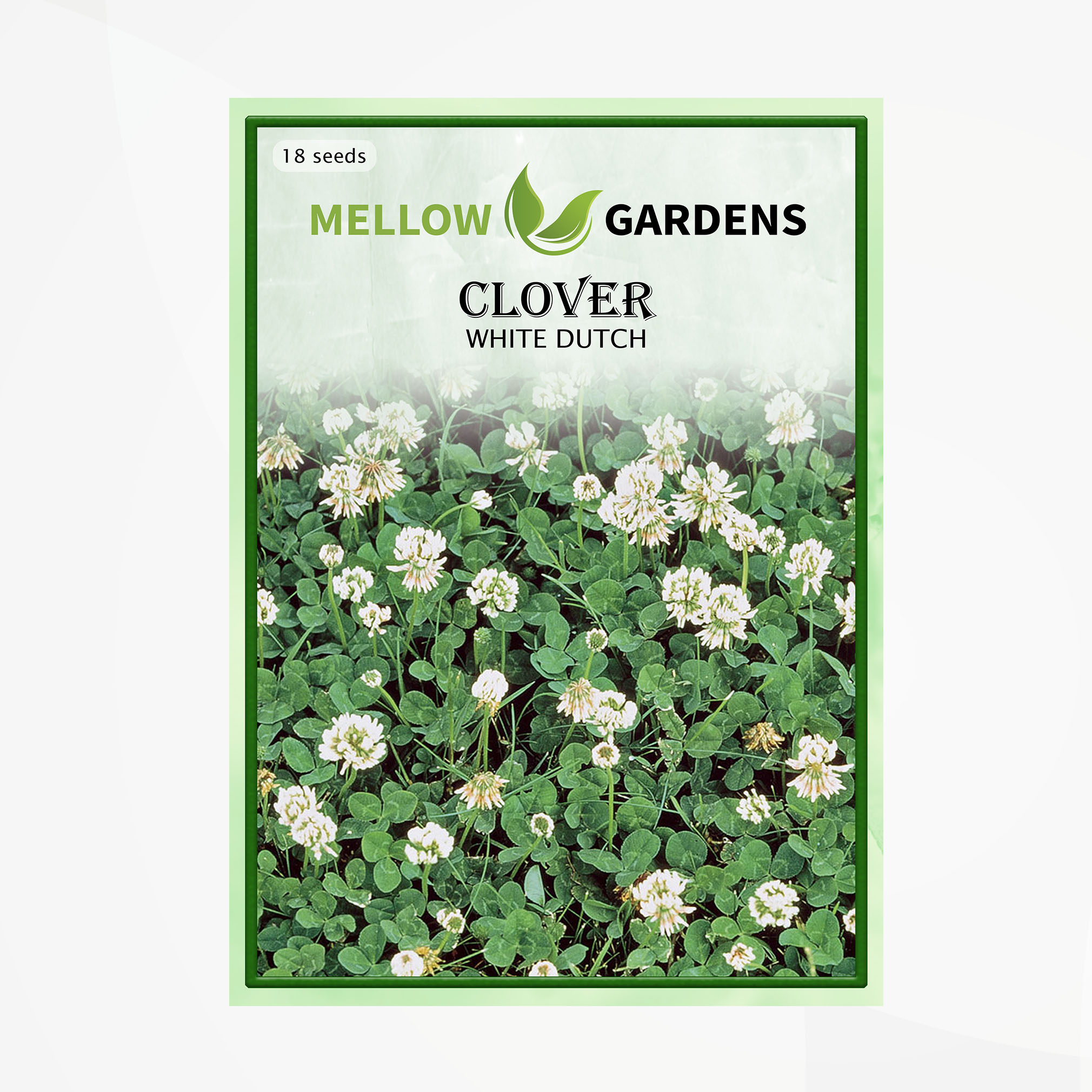 White Dutch Clover Seeds | Lazada PH