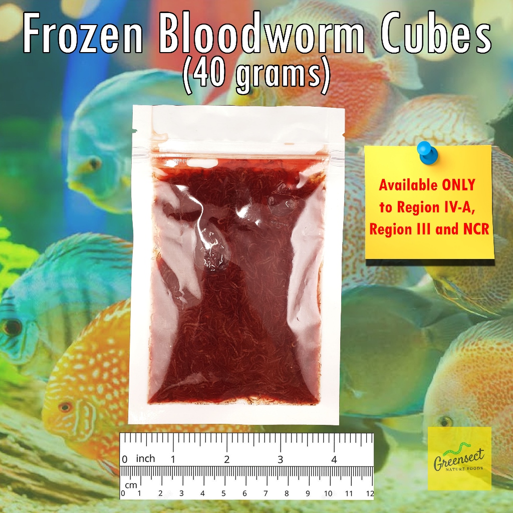 pet FROZEN BLOODWORM CUBES (WHOLESALE) fish food pet food | Lazada PH
