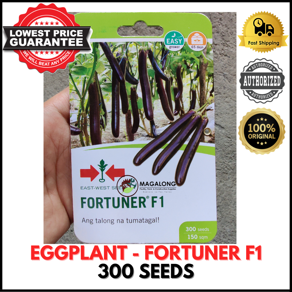 EAST-WEST SEEDS - EGGPLANT SEEDS - FORTUNER F1 HYBRID 300 Seeds | Lazada PH