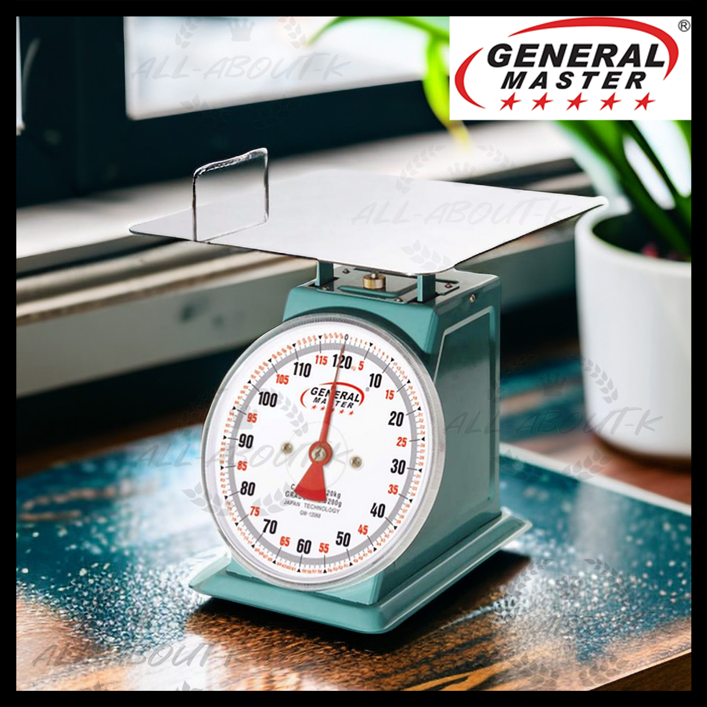General Master 120kg Weighing Scale/Table Scale Dial Spring Scale GM ...