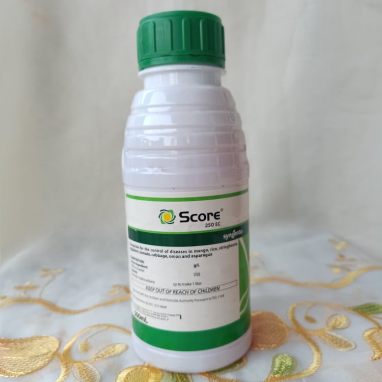 Score 250EC Systemic Fungicide Care for Plants by Syngenta ( 500 ml ...