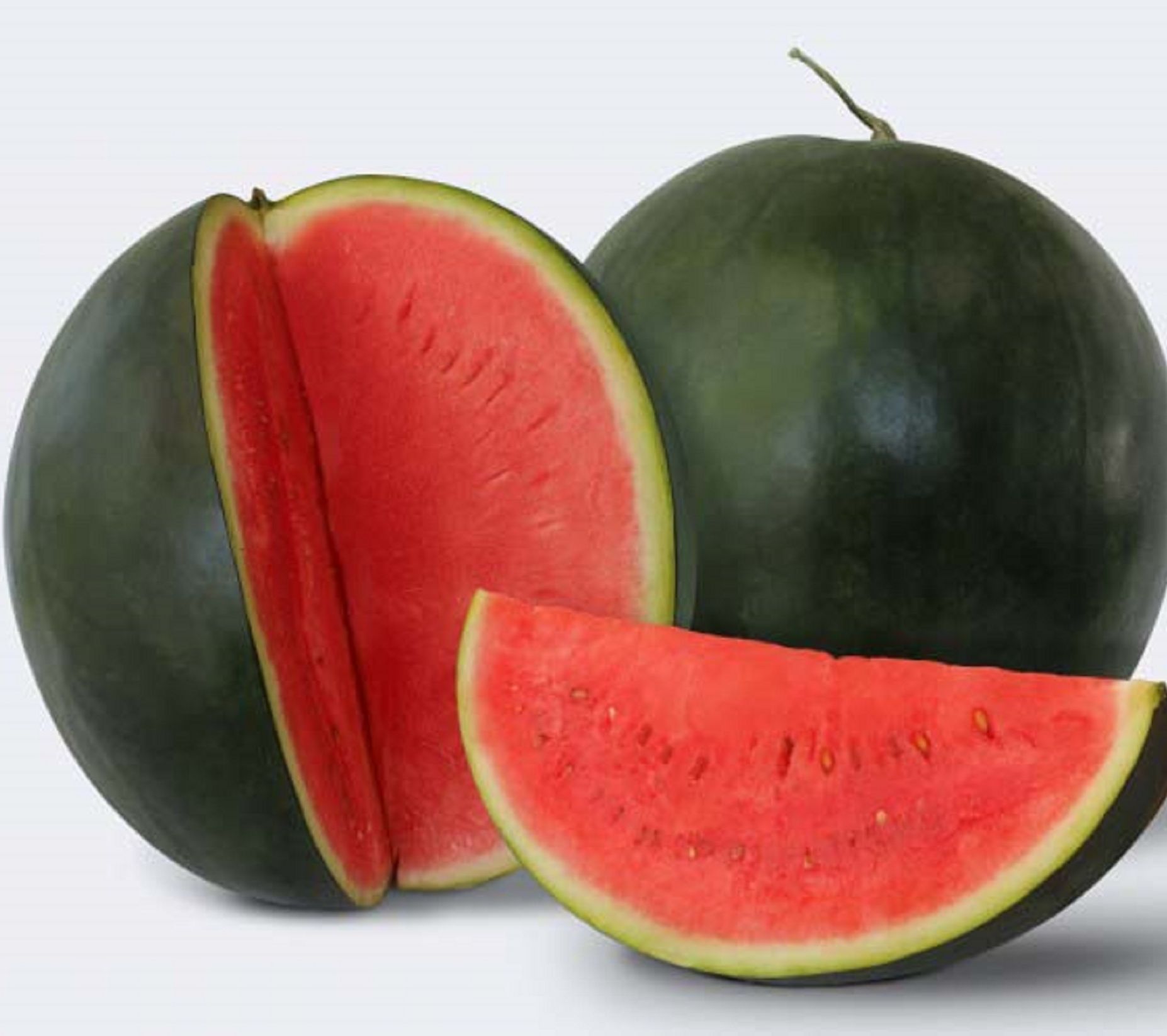 PAKWAN SEED`S "WATERMELON" (SUGAR BABY) SEEDLESS | Lazada PH