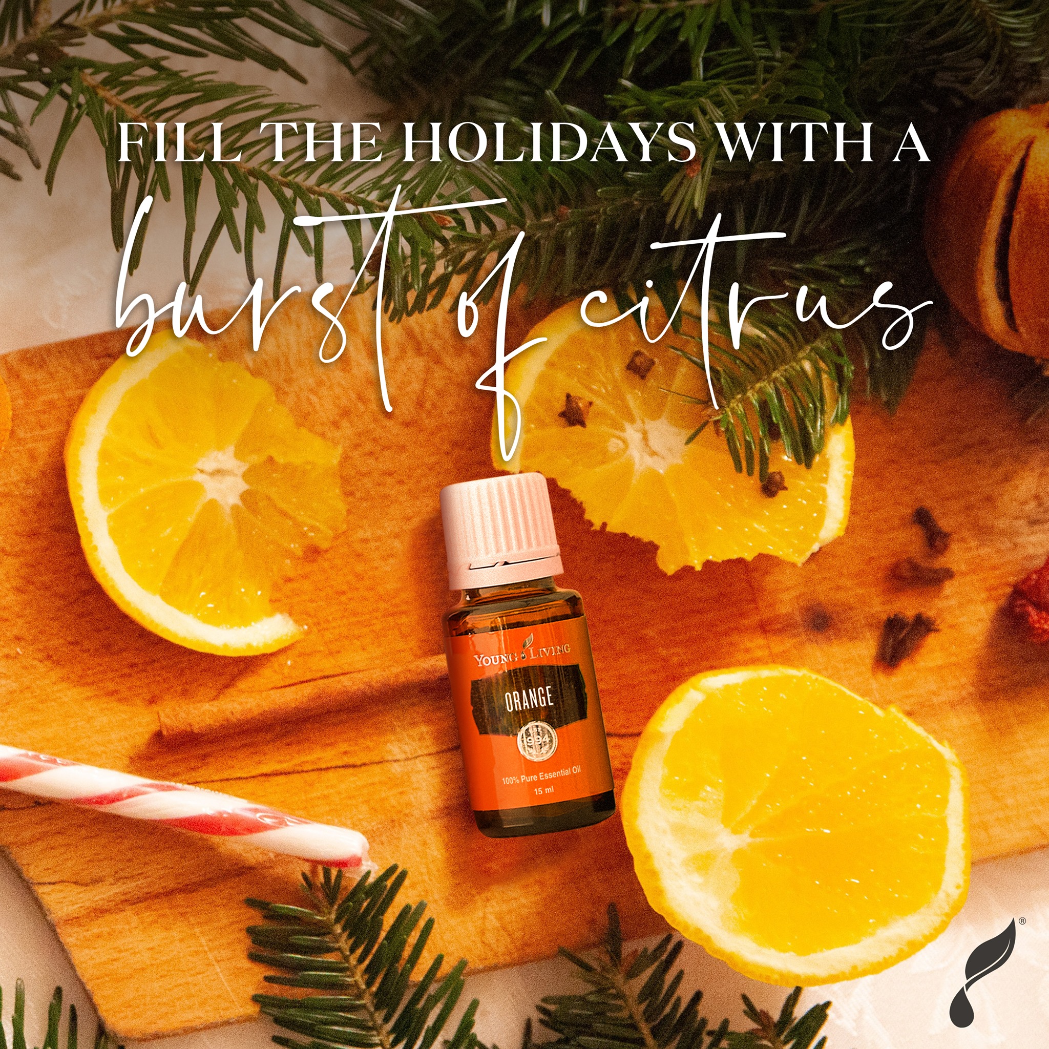 Young Living Essential Oils - Young Living Orange Essential Oil Young ...