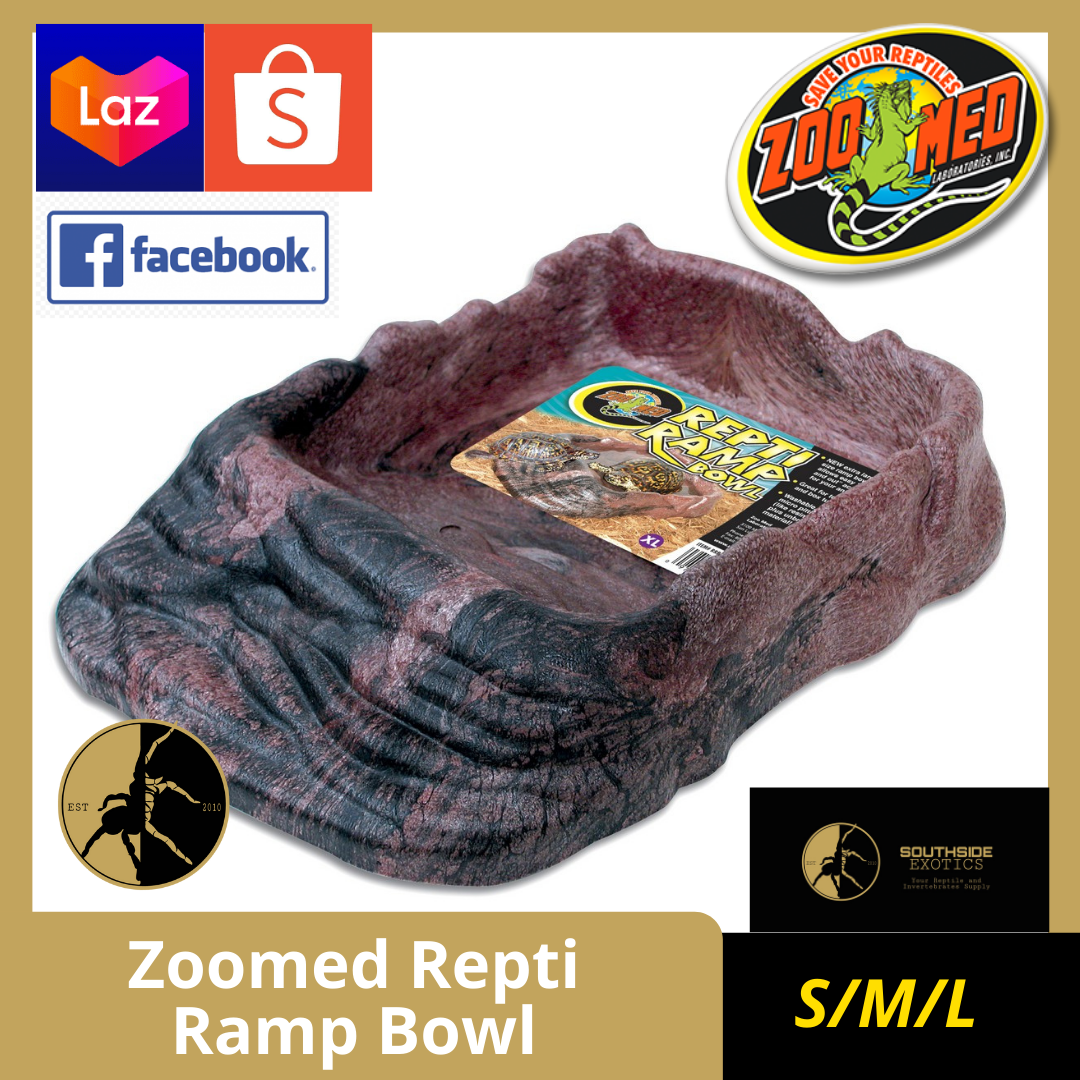 Zoo med Repti Ramp Bowl S/M/L | Lazada PH